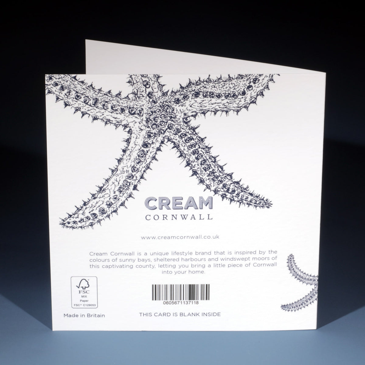 A Galaxy of Starfish Greetings Card – Cream Cornwall