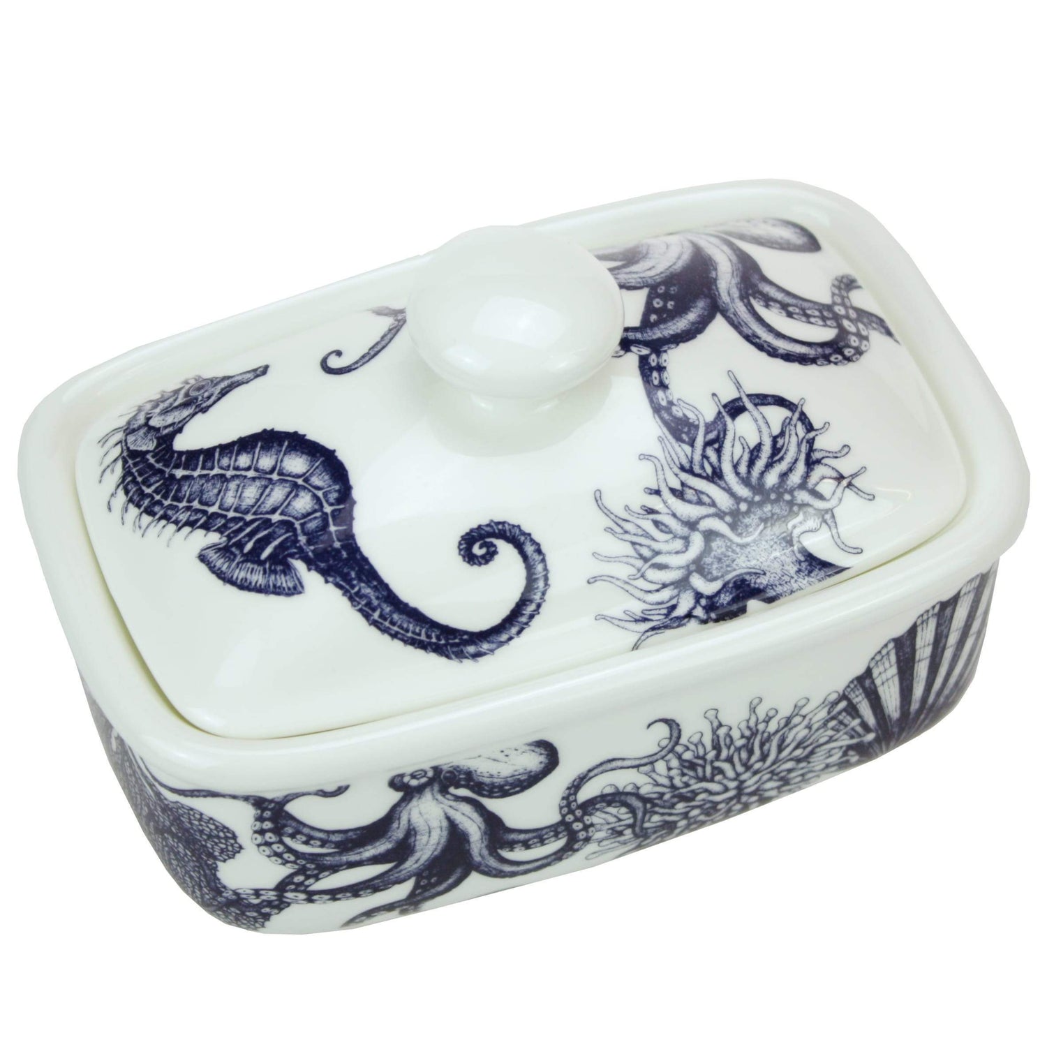 Bone China Sea Creatures Butter Dish – Cream Cornwall