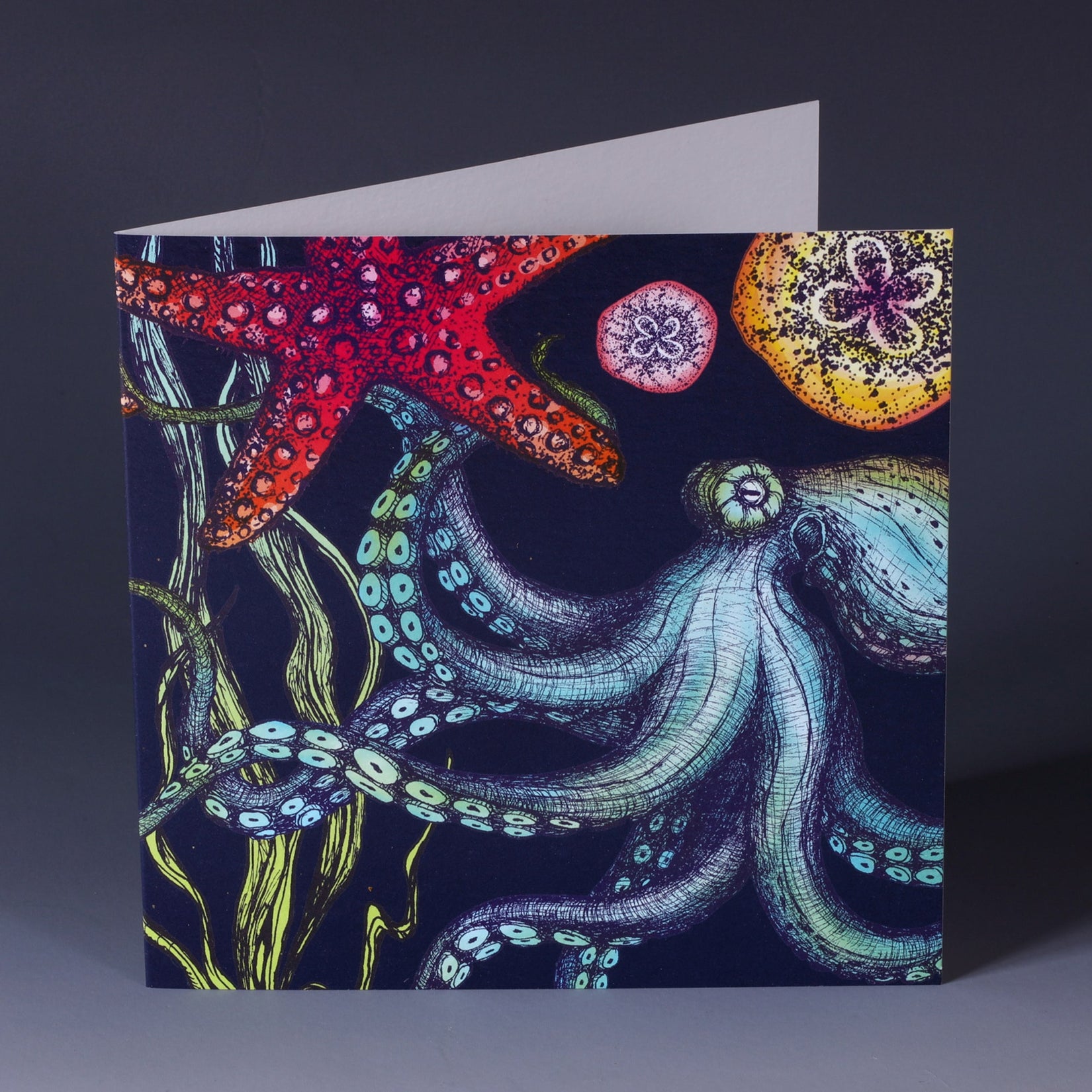 Luxury Coastal Reef Octopus Greetings Card FSC Certified | Cream Cornwall