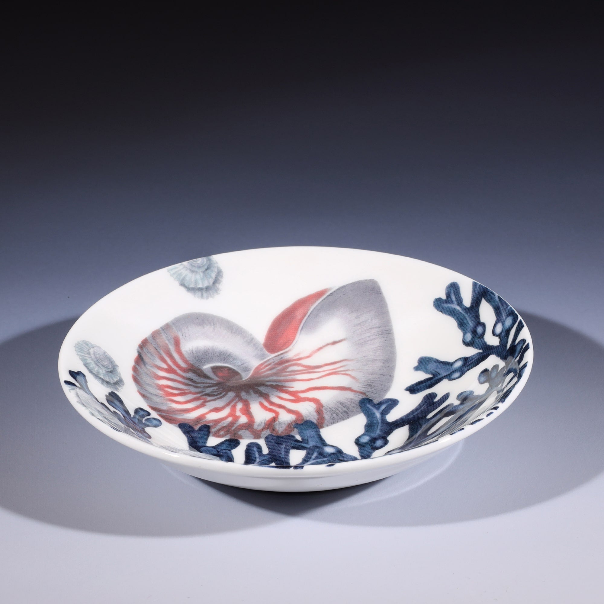 Unique Nautilus Shell Nibbles Dish -Beachcomber Design |Cream Cornwall