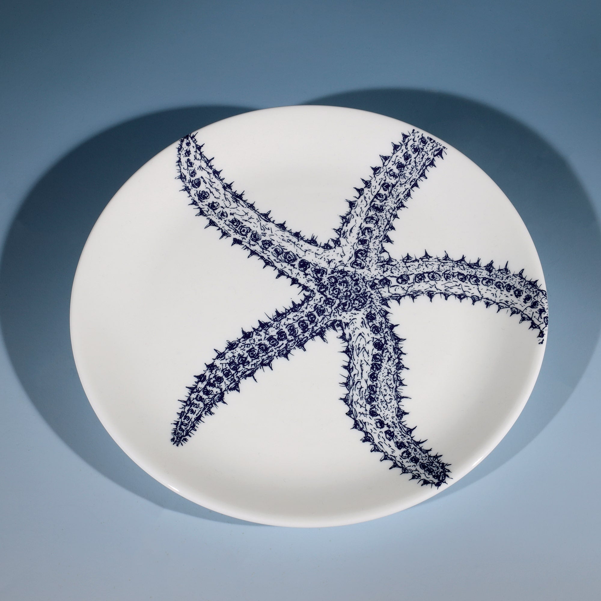 Unique Coastal Bone China Starfish Dinner Plate | Cream Cornwall
